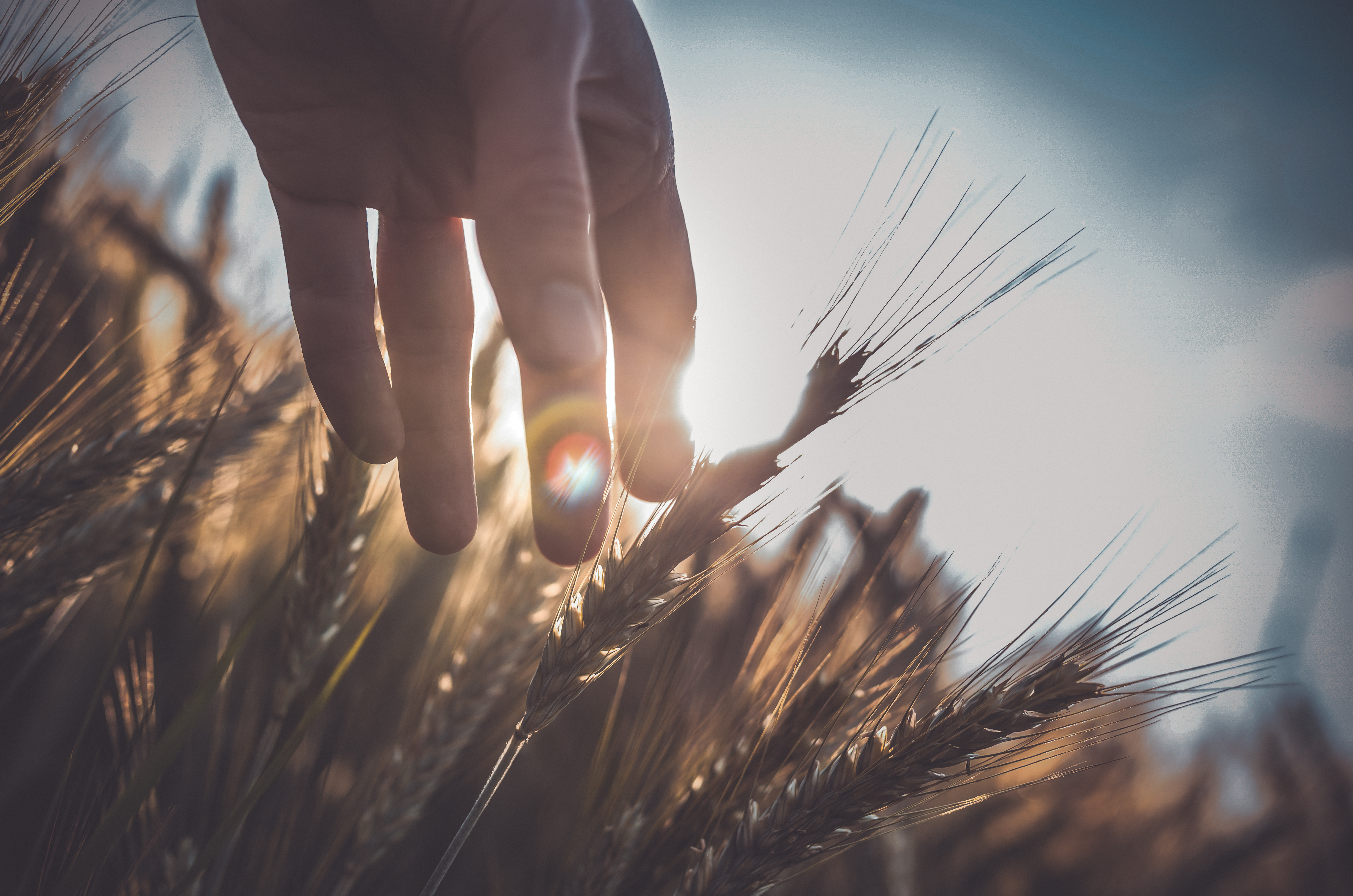 Building Prosperity | XL AXIATA